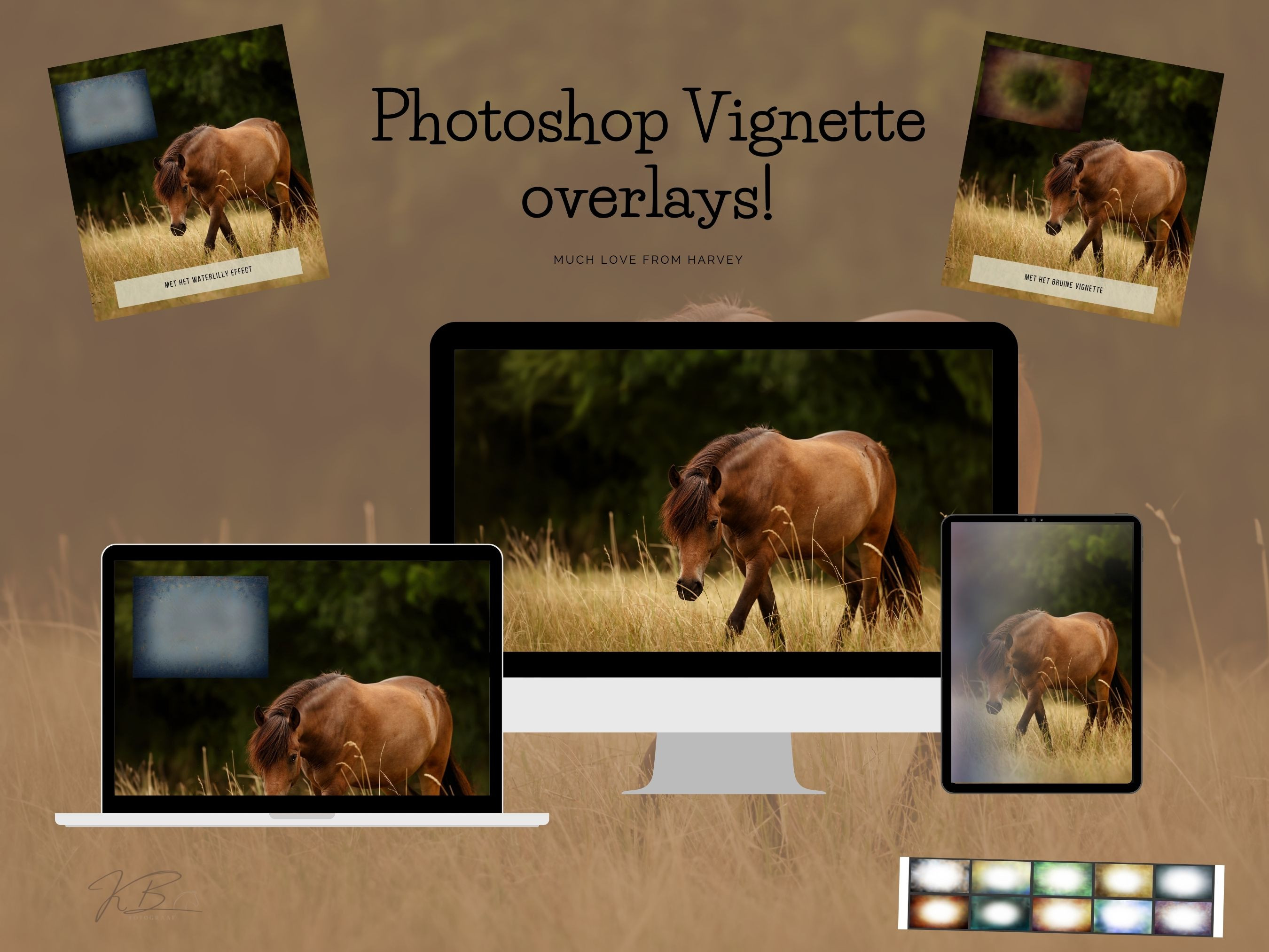 Vignette Overlays voor Photoshop