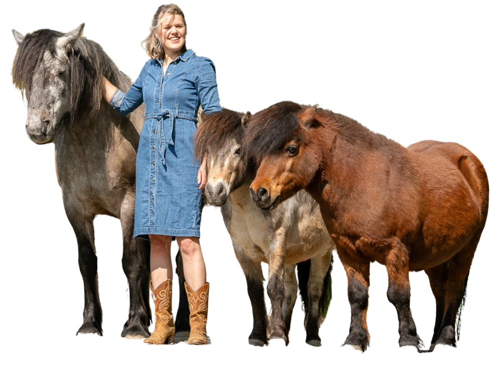 Aanmelden gratis webinar