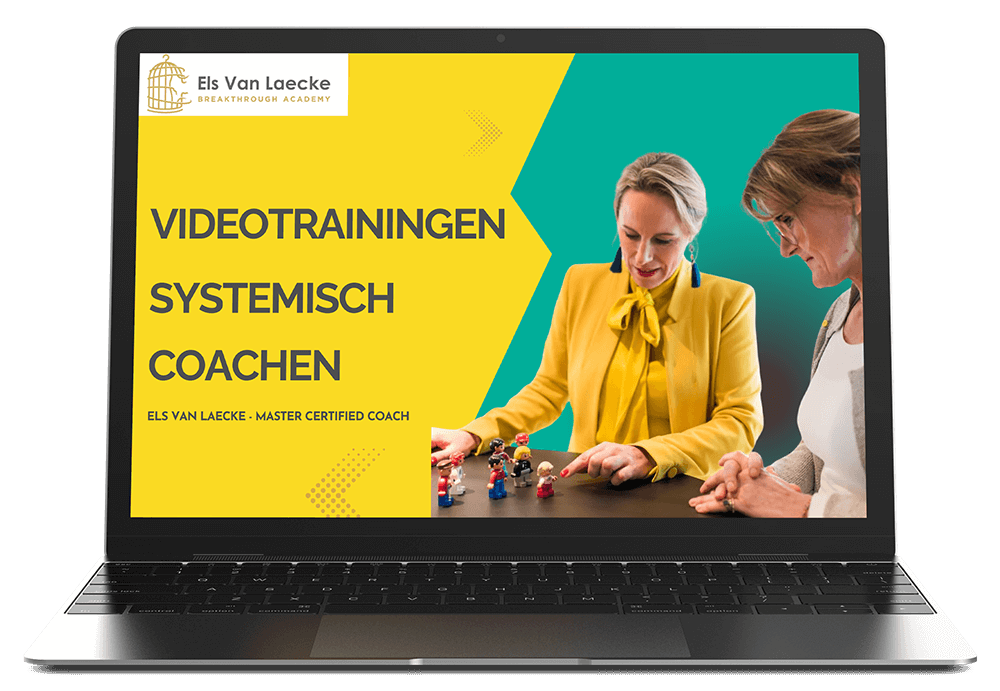 Trainingspakket Systemisch Coachen
