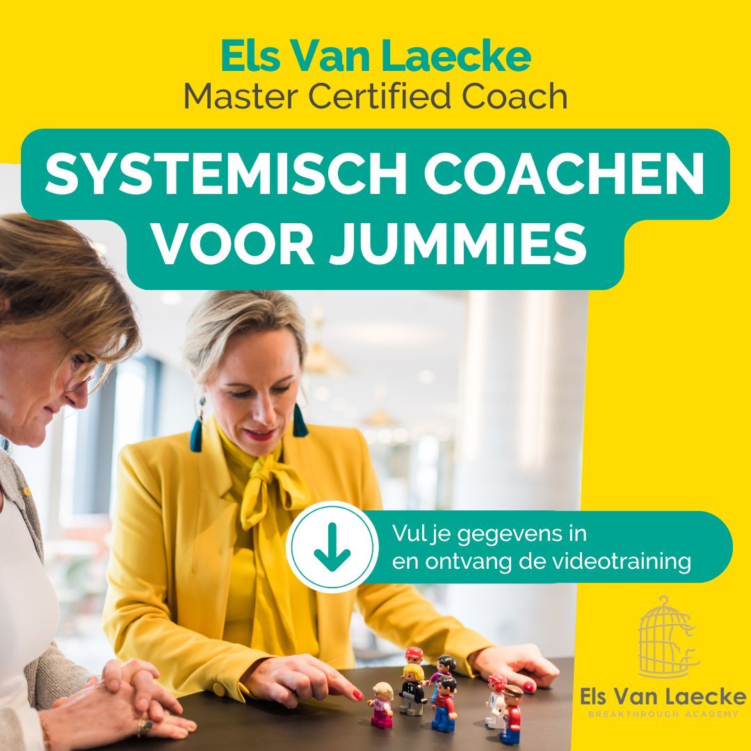 Systemisch coachen voor jummies | Els Van Laecke Breakthrough Academy