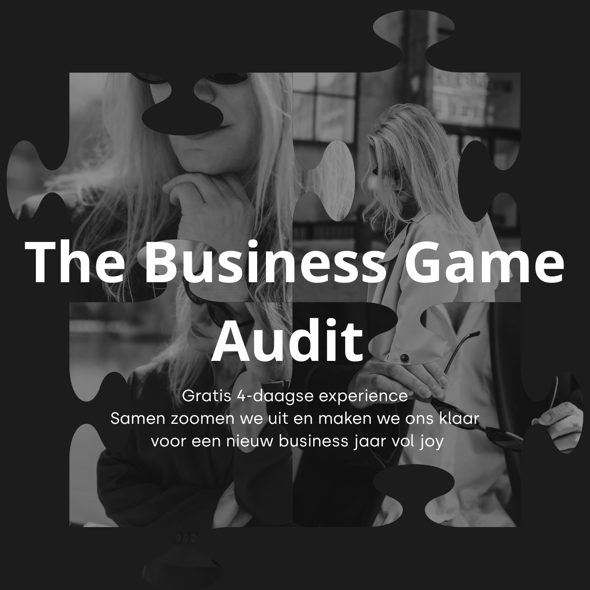 The Business Game Audit Experience