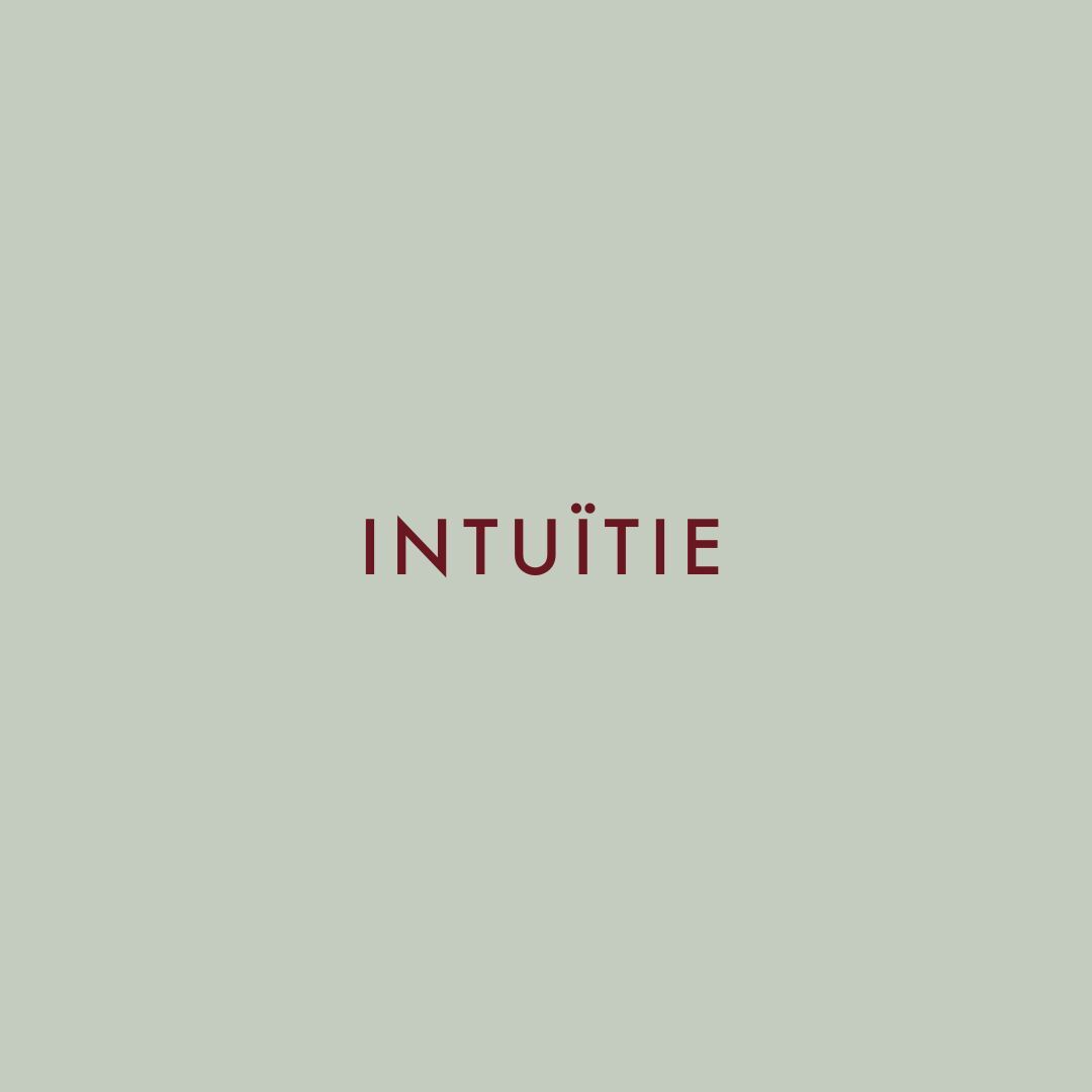 Masterclass Intuïtie