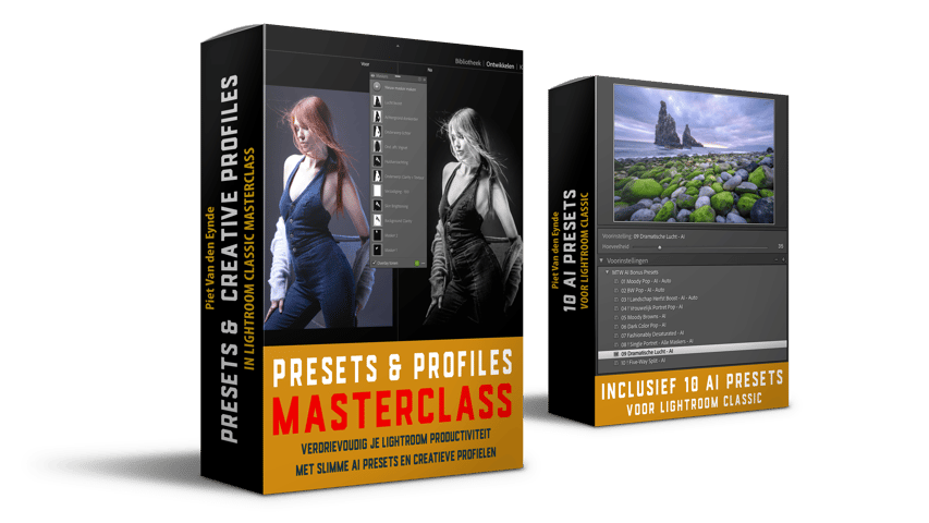 Presets & Profiles Masterclass | Easy checkout | MoreThanWords Training in Fotografie- en ...