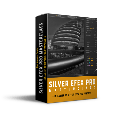 Silver Efex Pro Masterclass | Easy checkout | MoreThanWords Training in ...