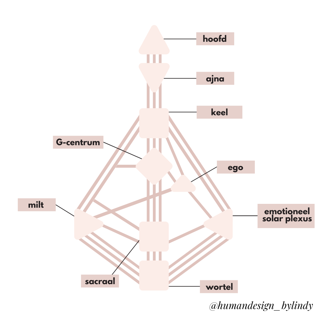 Human Design Blauwdruk Boek | Easy checkout | Humandesignbylindy