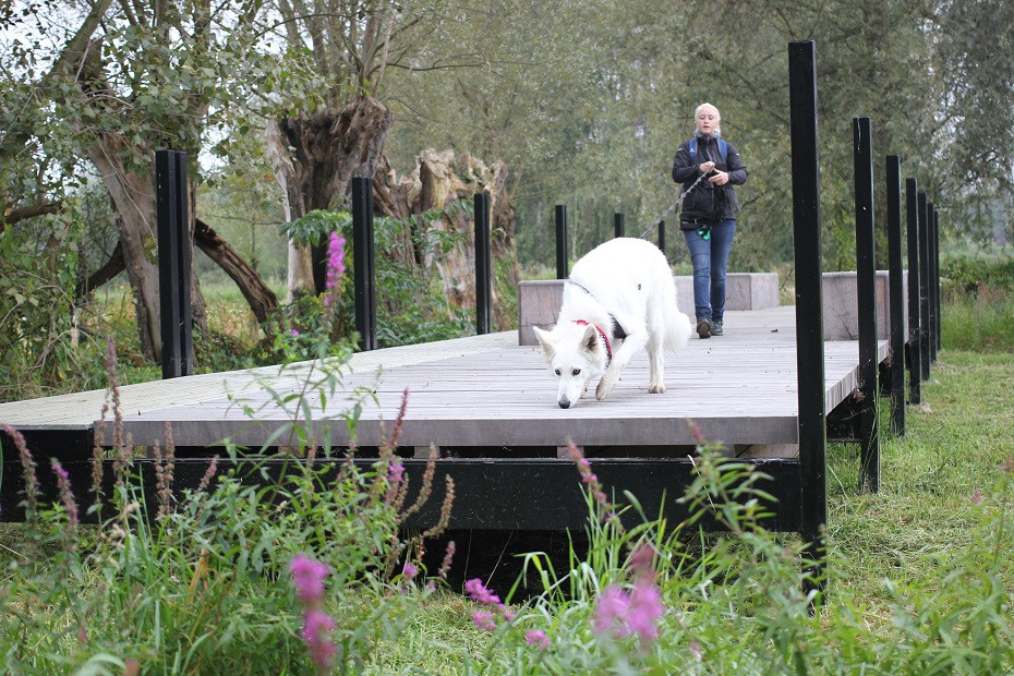 Dogtrailing - mantrailing - speuren met je hond